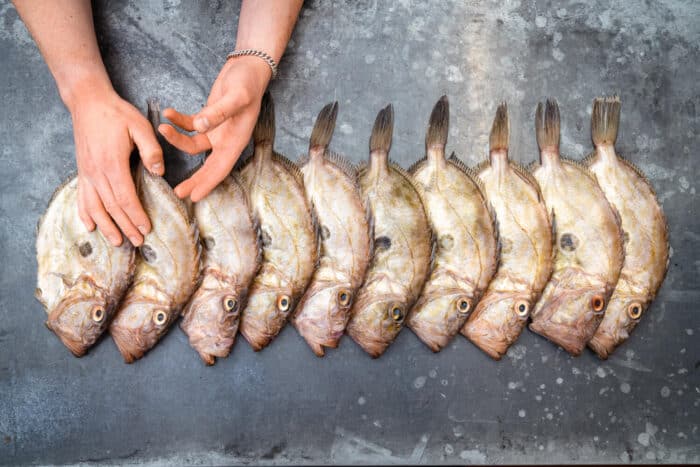 10 Best Local Fishmongers in London | Faber