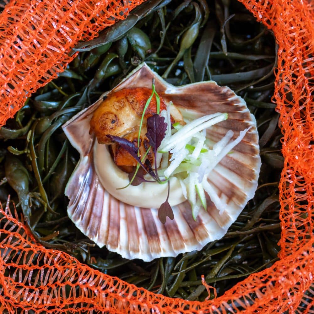 Burn's Night, Scottish celebration - Faber Restaurant