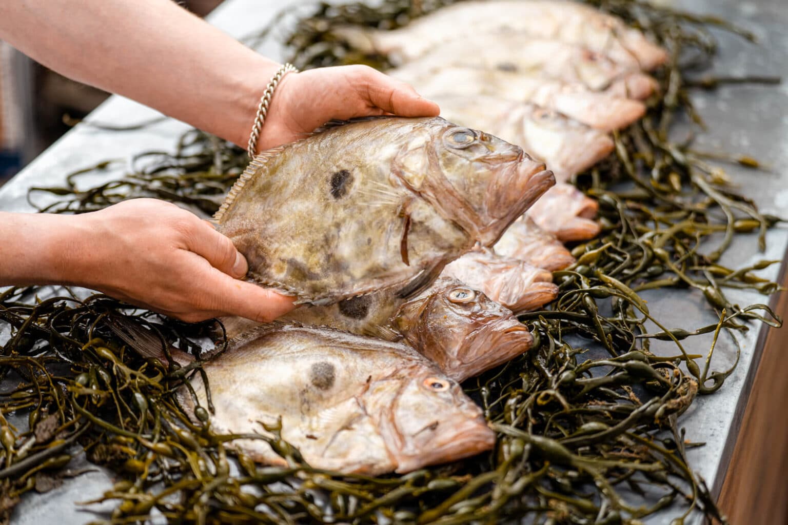 10 Best Local Fishmongers in London | Faber