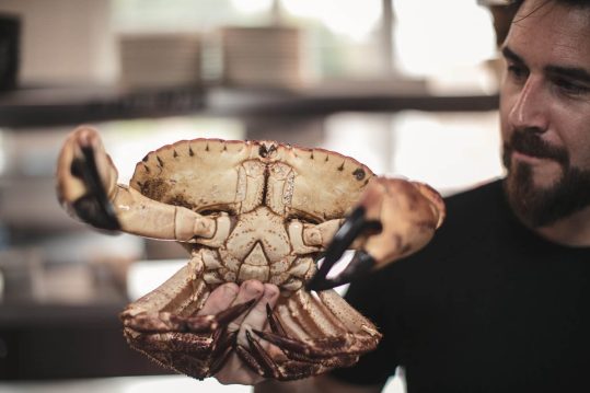 10 Best Local Fishmongers in London | Faber